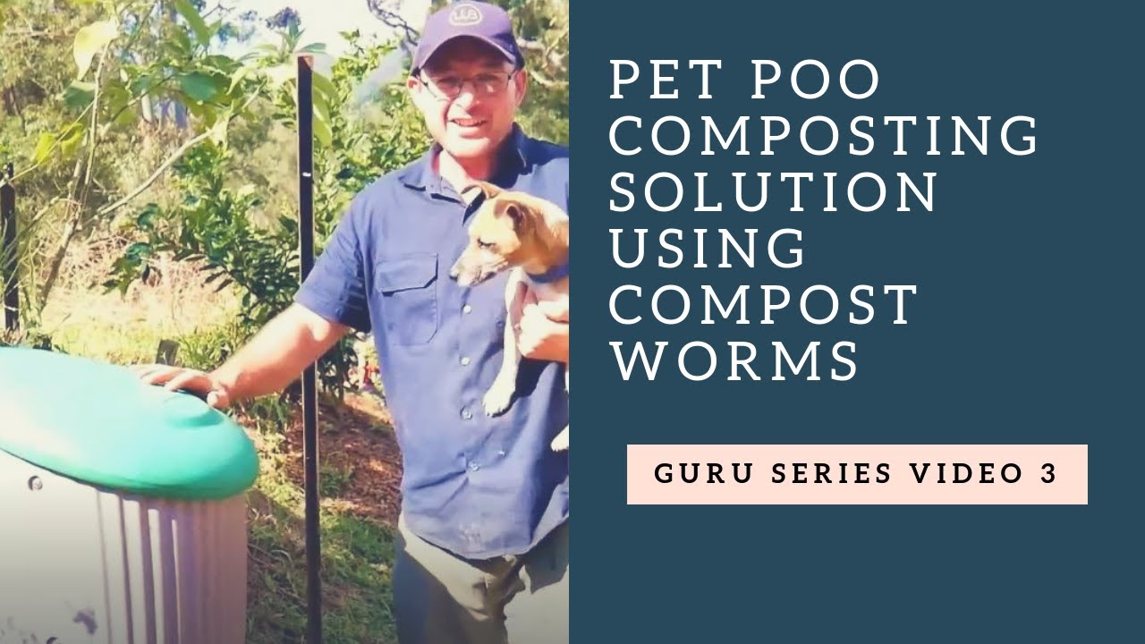 How Do You Compost Dog Poop With Worms