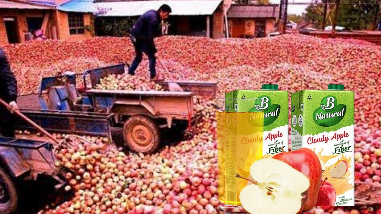 Modern apple juice production process - how apple juice made in factory ...