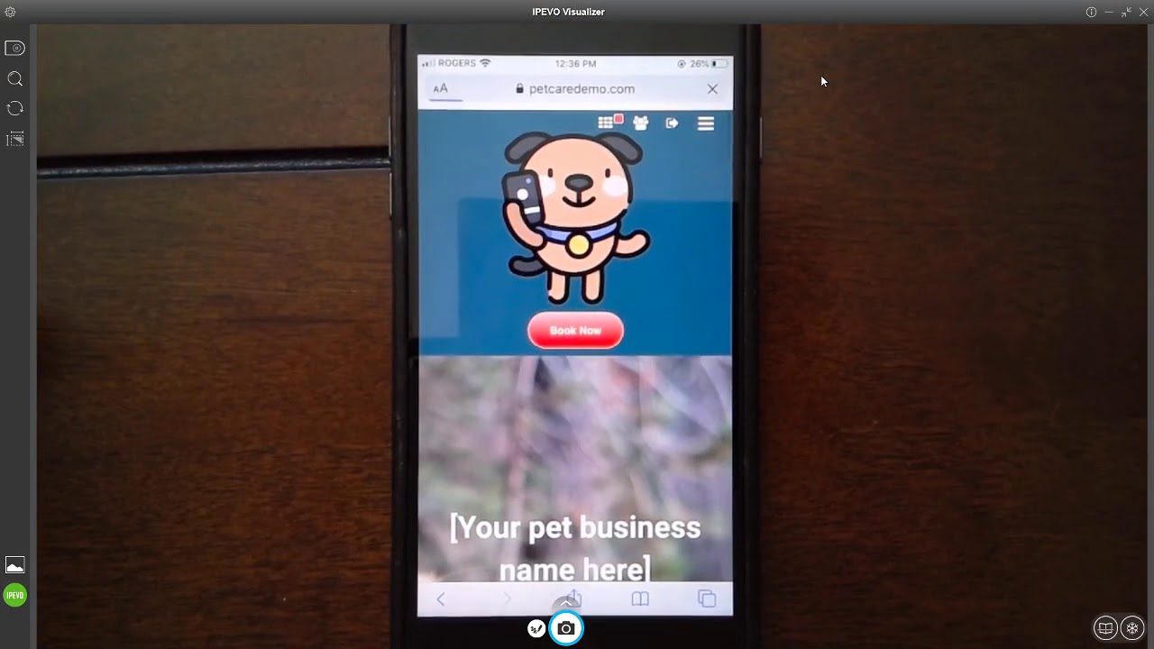 Easy Busy Pets Web App - YouTube