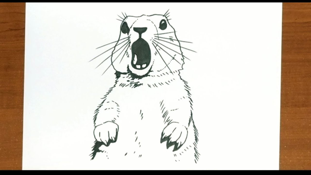 How to Draw SCREAMING PRAIRIE DOG - YouTube
