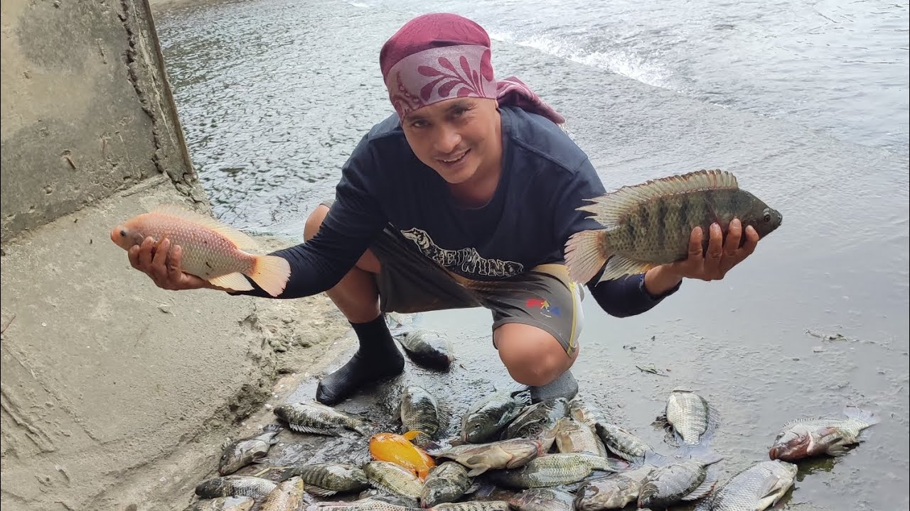 ISANG DANGGAL NA TUBIG GINAWANG PUGAD NG MGA ISDA.KOI DENAKMA NE IDOL ...