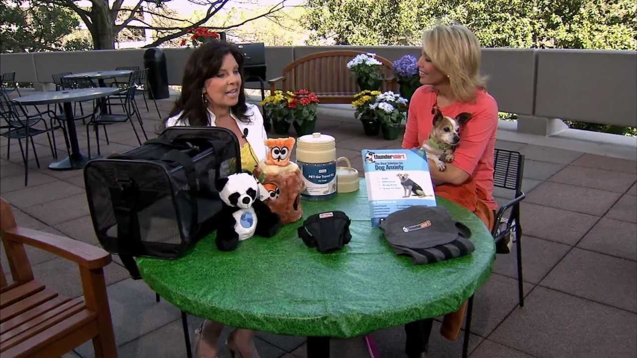 Pets on the Go. Heather Tesch. The Weather Channel. - YouTube