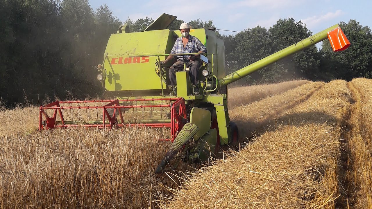 Żniwa 2019 czas start ! Koszenie pszenżyta ☆ Claas Compact 30 & Ursus C ...