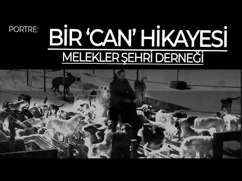 Portre: Bir 'Can' Hikayesi | Melekler Şehri Derneği