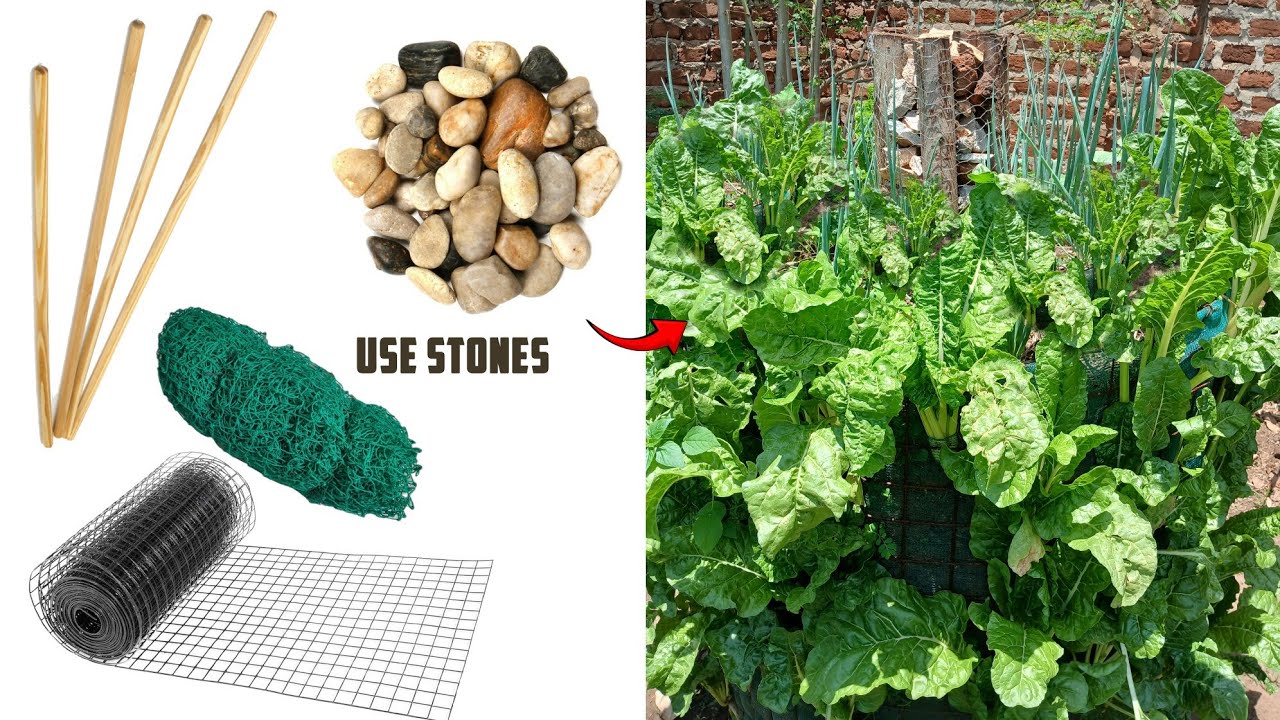 Vertical Garden Magic: Grow Spinach & Spring Onions in Tiny Spaces ...