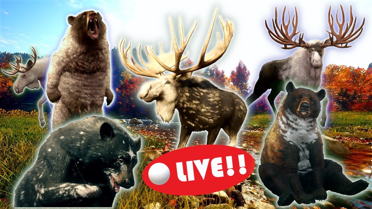 🔴LIVE! Almost 1000 Bears, Is the Great One Soon? HE SPAWNED! - YouTube