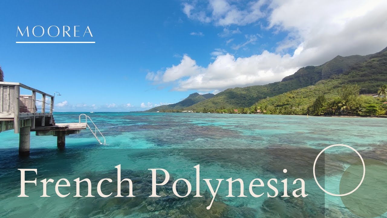 French Polynesia - Snorkeling in Moorea - Sofitel Kia Ora Beach - YouTube