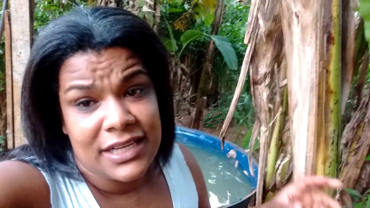 Vamos colocar os peixes na água?????cera , cera que vamos - YouTube