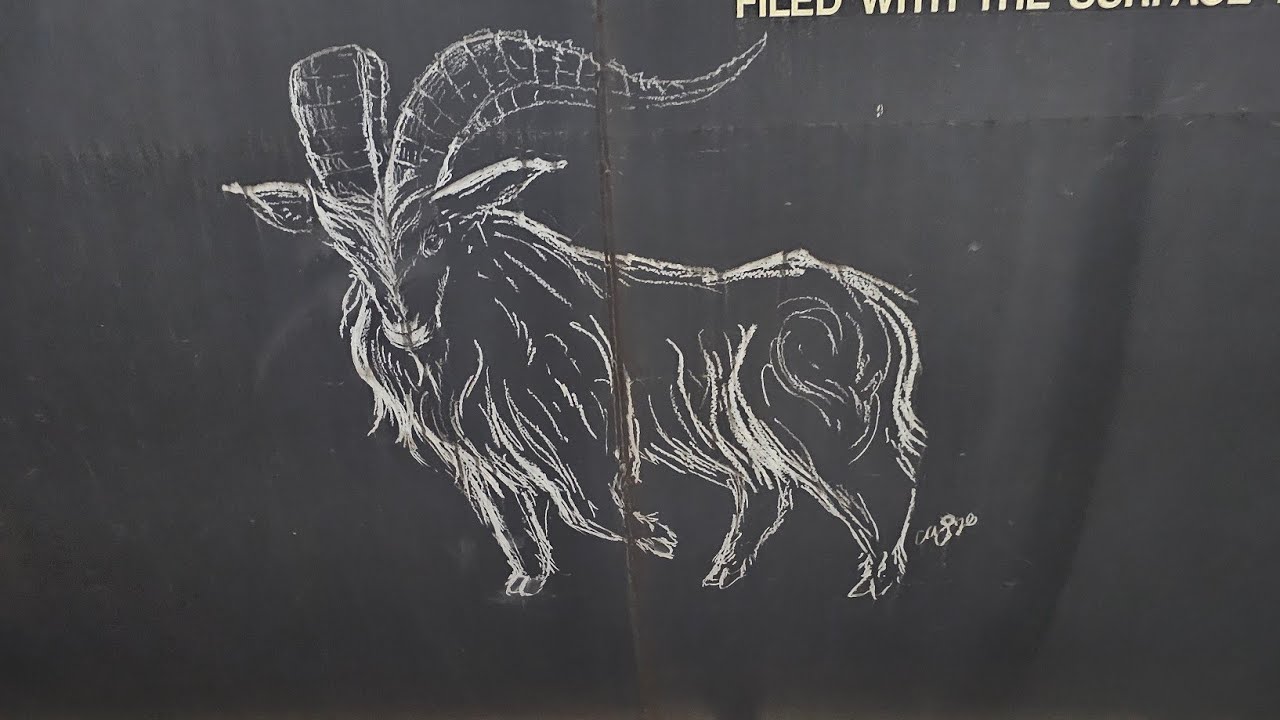Cargo train Art/Graffiti - YouTube