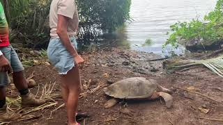 Kabara Island - World Islands