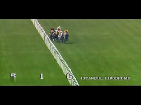 NİĞBOLU KOŞUSU (1999) - YAVUZHAN (SÜLEYMAN AKDI)