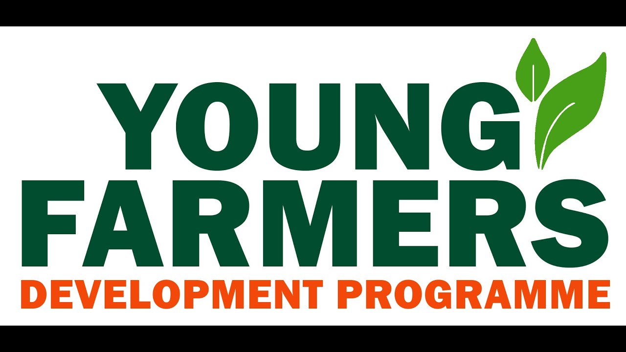 Introduction to Siyazisiza's Young Farmers Development Programme - YouTube