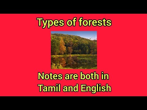 Indian geography - Types of forests ( Notes are both in Tamil and ...