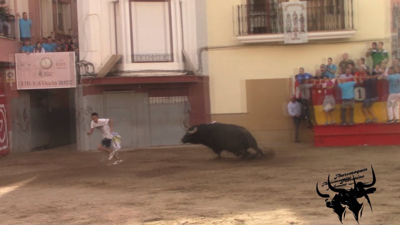 LOS MEJORES CERRILES DE ESTE 2022 - YouTube