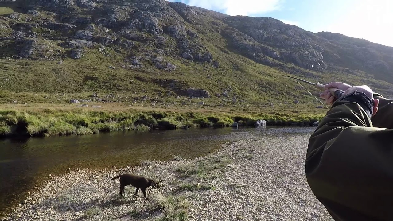 Gualin Estate Stags roaring - YouTube