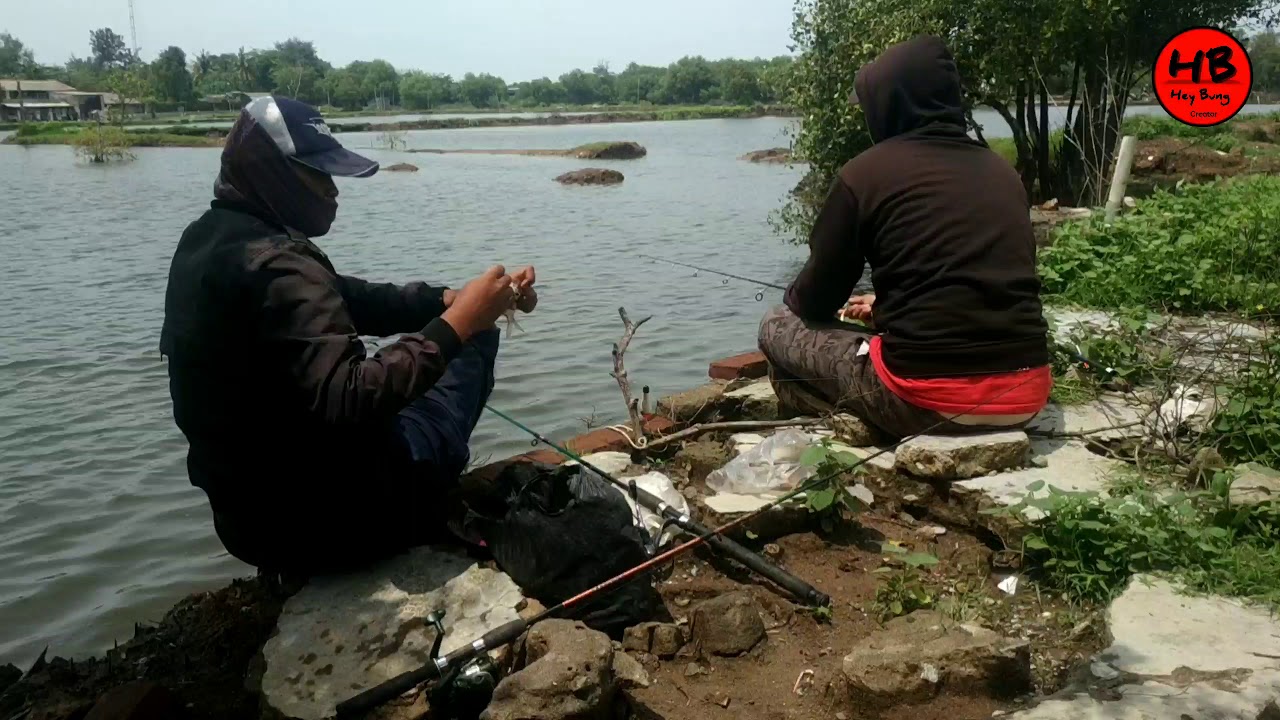 Mancing Di Empang Tanjung Pasir , Lumayan Dapet Nya - YouTube
