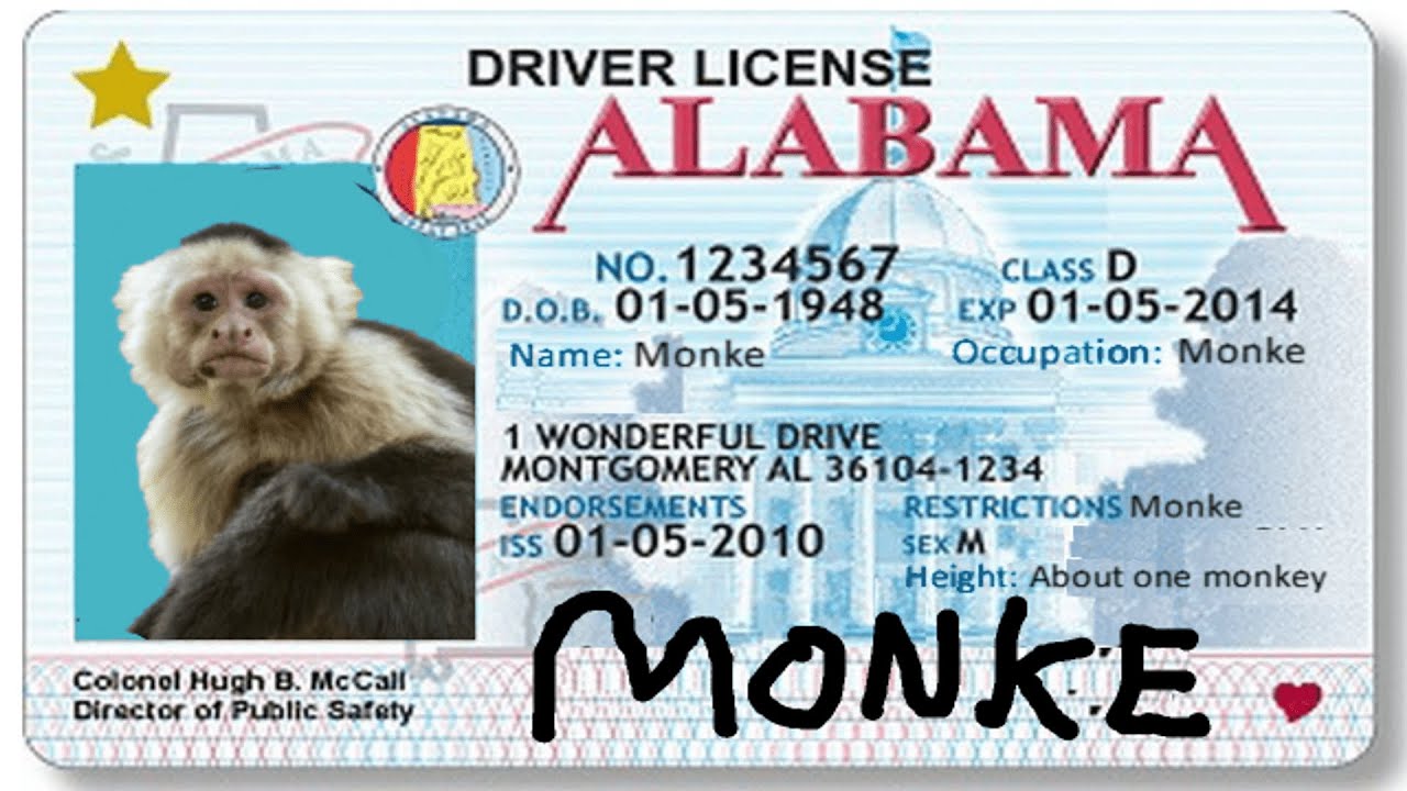 Getting a Monkey Through Airport Security - YouTube