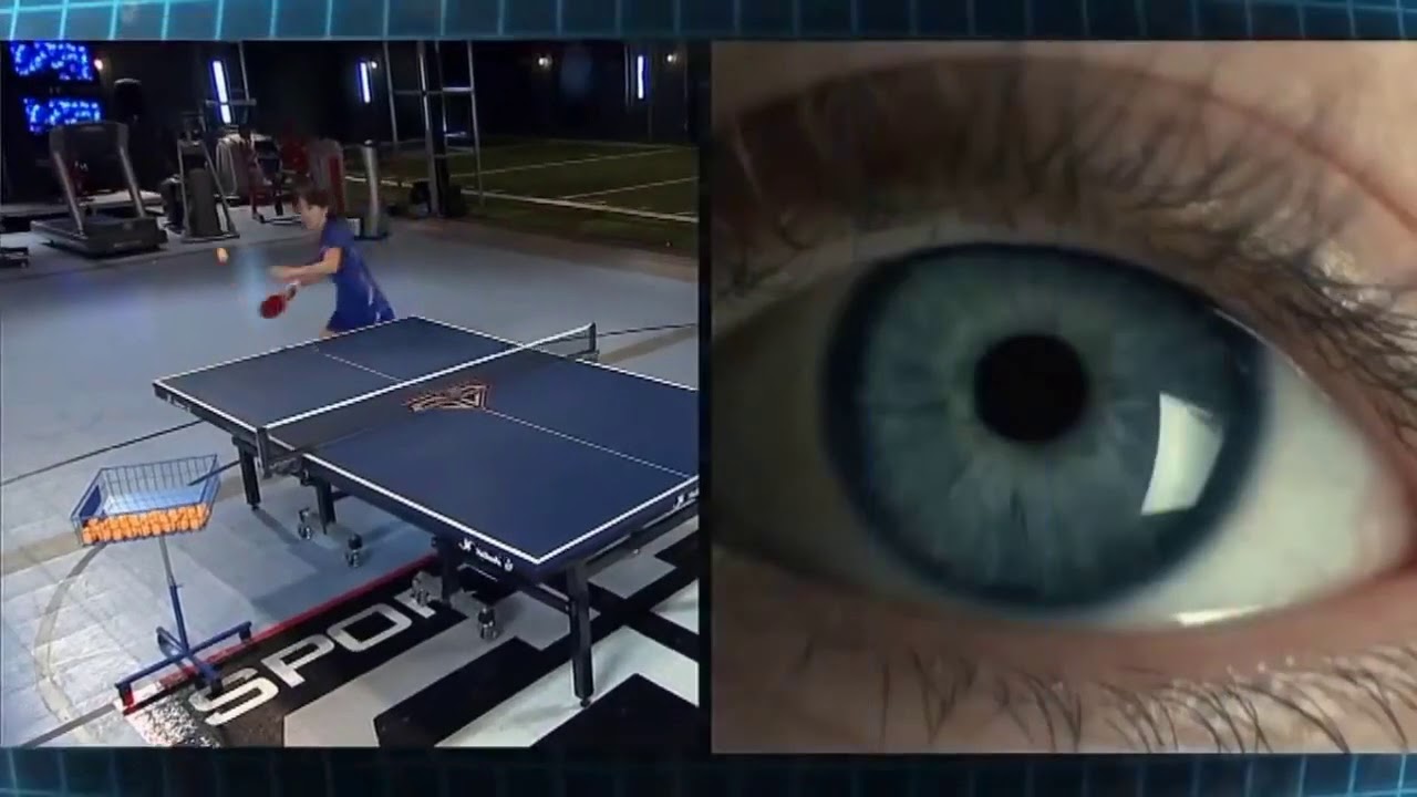 Table Tennis Sports Science - YouTube
