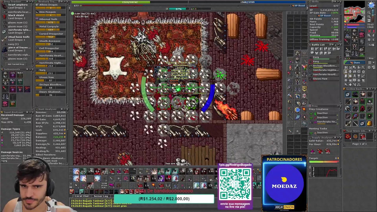 AO VIVO | Tibia War com Rodrigo Bugado 🔥 | Dicas, Guerras e Gameplay Servidor Honbra! - YouTube