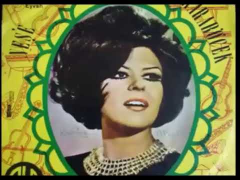 1960lı Yılların En İyi 20 Türkçe Pop Şarkısı