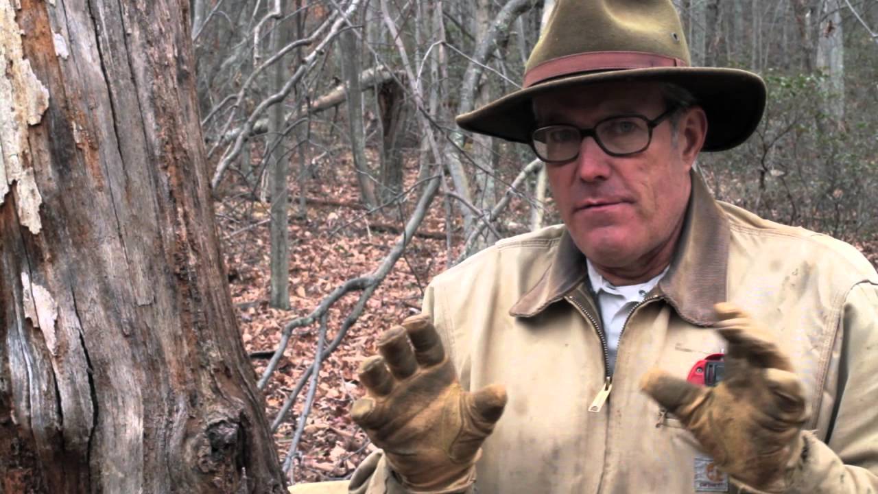 Polyface Primer Trailer - YouTube