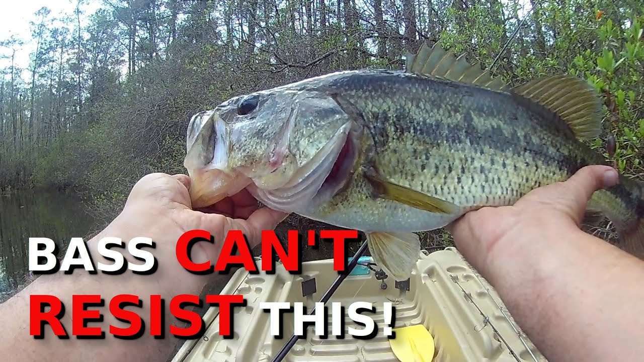 FOUR Ways To Rig Soft Plastics You DON'T Know!!! - YouTube