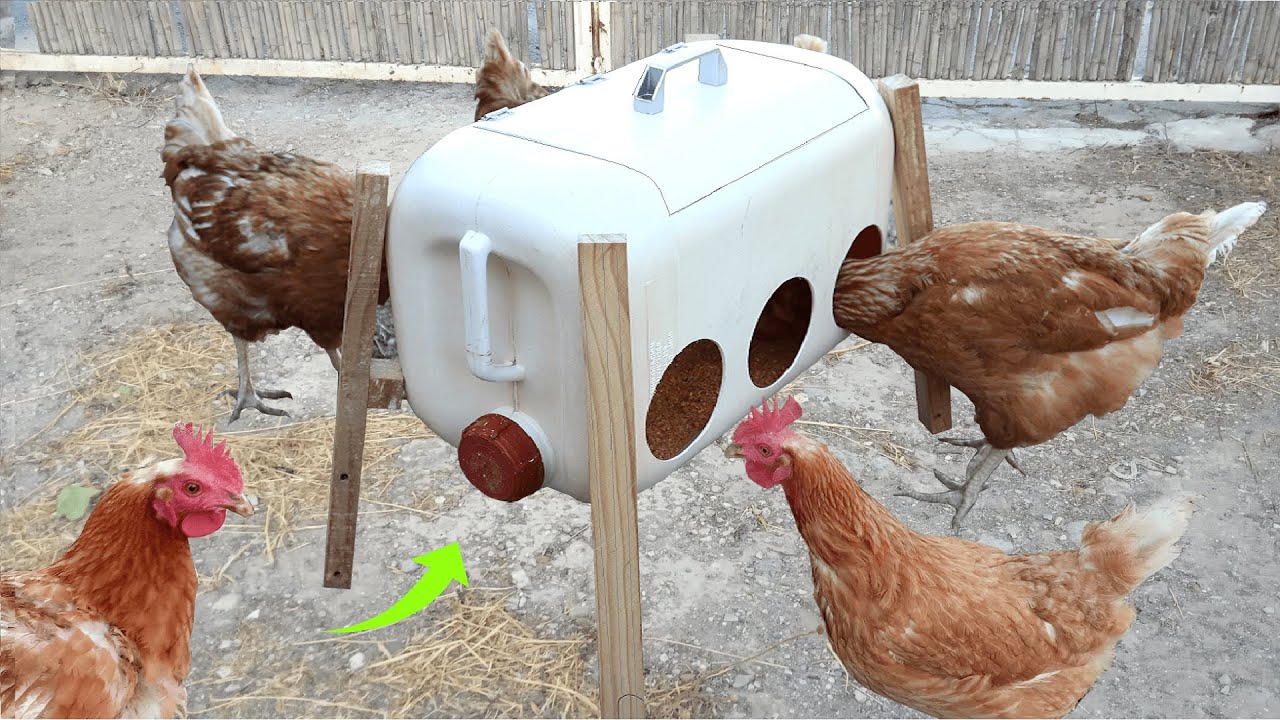Comedero para Gallinas Fácil de hacer/ con un bidón 25L - YouTube