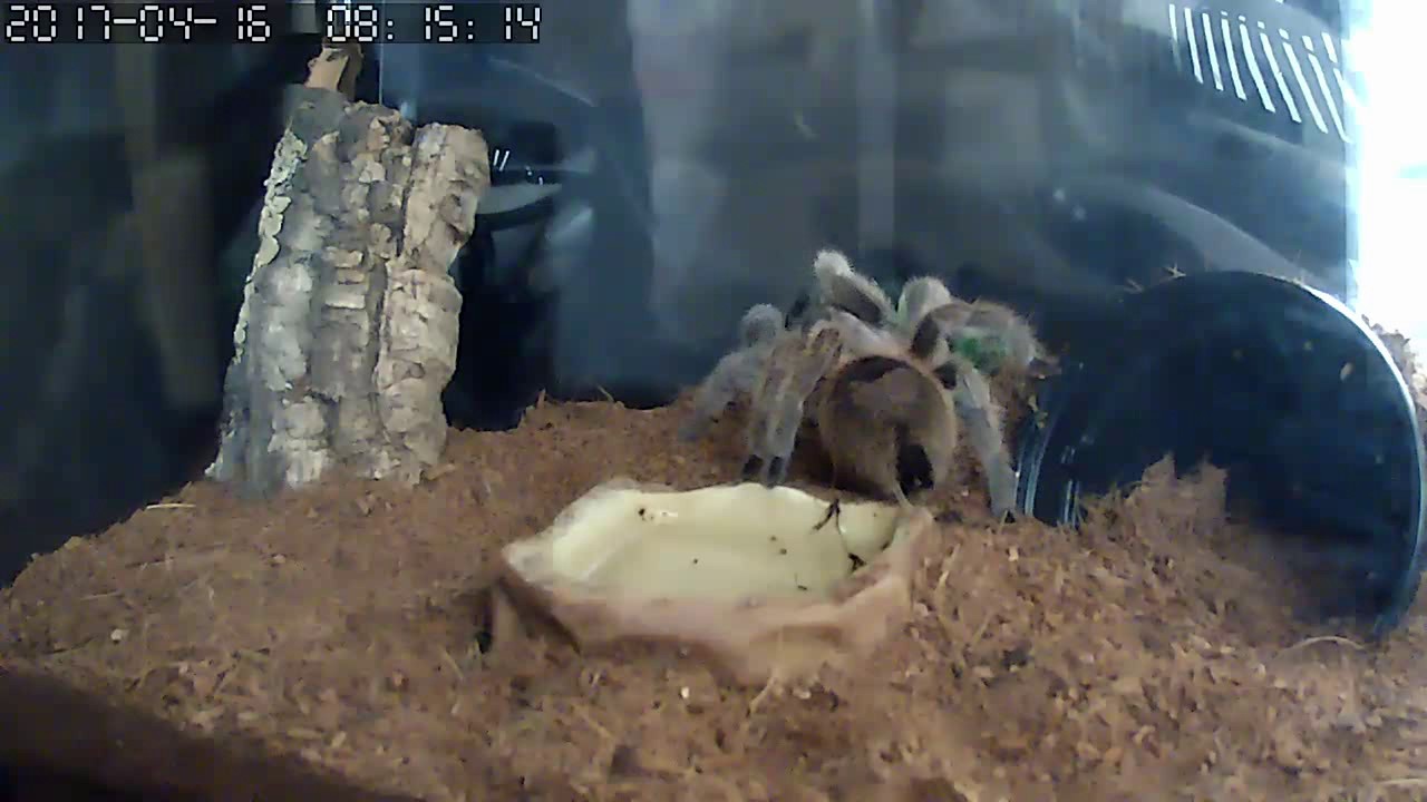 I like the way Spud moves - YouTube