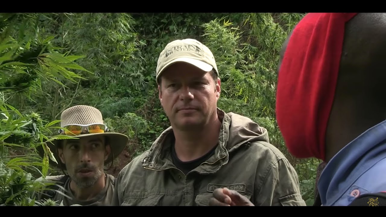 Strain Hunters Swaziland Expedition - YouTube
