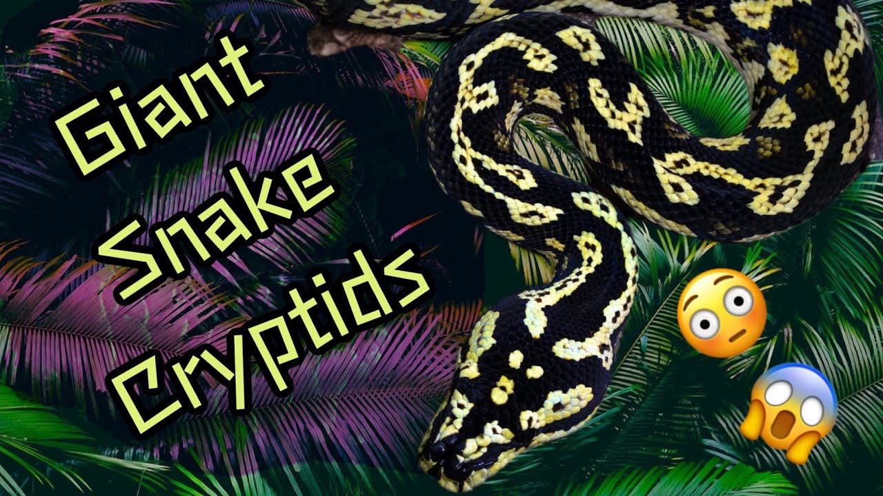 Giant Snake Cryptids from around the World. Monster snakes. - YouTube