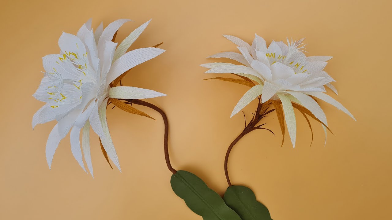 How to make Night Cactus from crepe paper / Paper Flower / Góc nhỏ ...