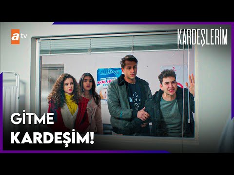 Tolga kardeşini kaybetti - Kardeşlerim 74. Bölüm