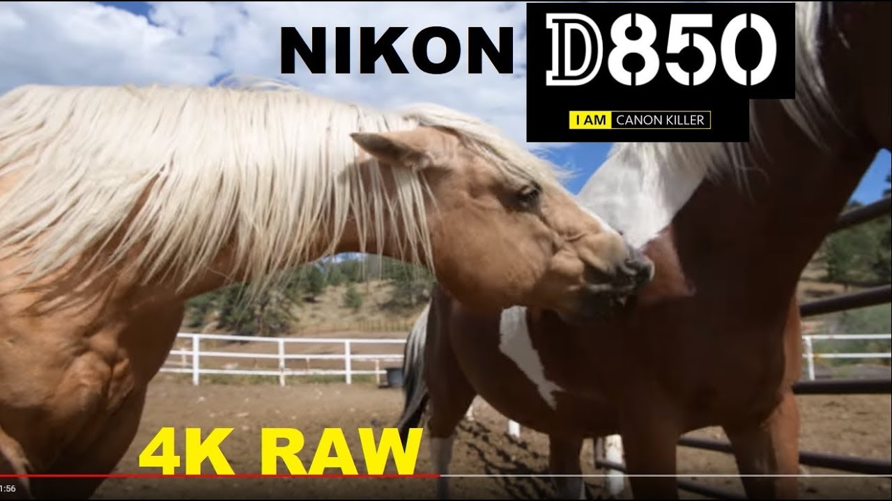 Nikon D850 Raw Video 4K - YouTube
