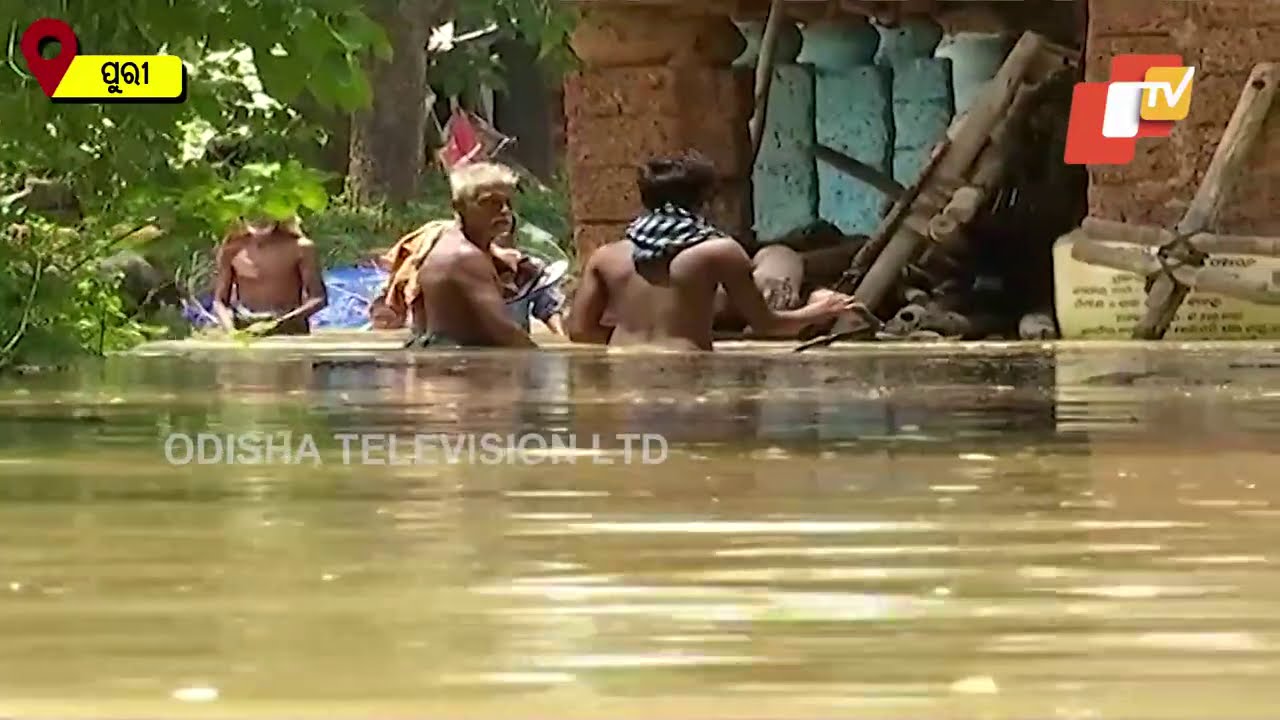 Odisha Flood | Daya Nadi Water Floods Villages In Puri - YouTube