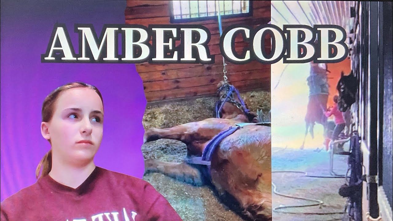 Talking About AMBER COBB, A Race Horse “Trainer” Caught Abusing A Horse ...