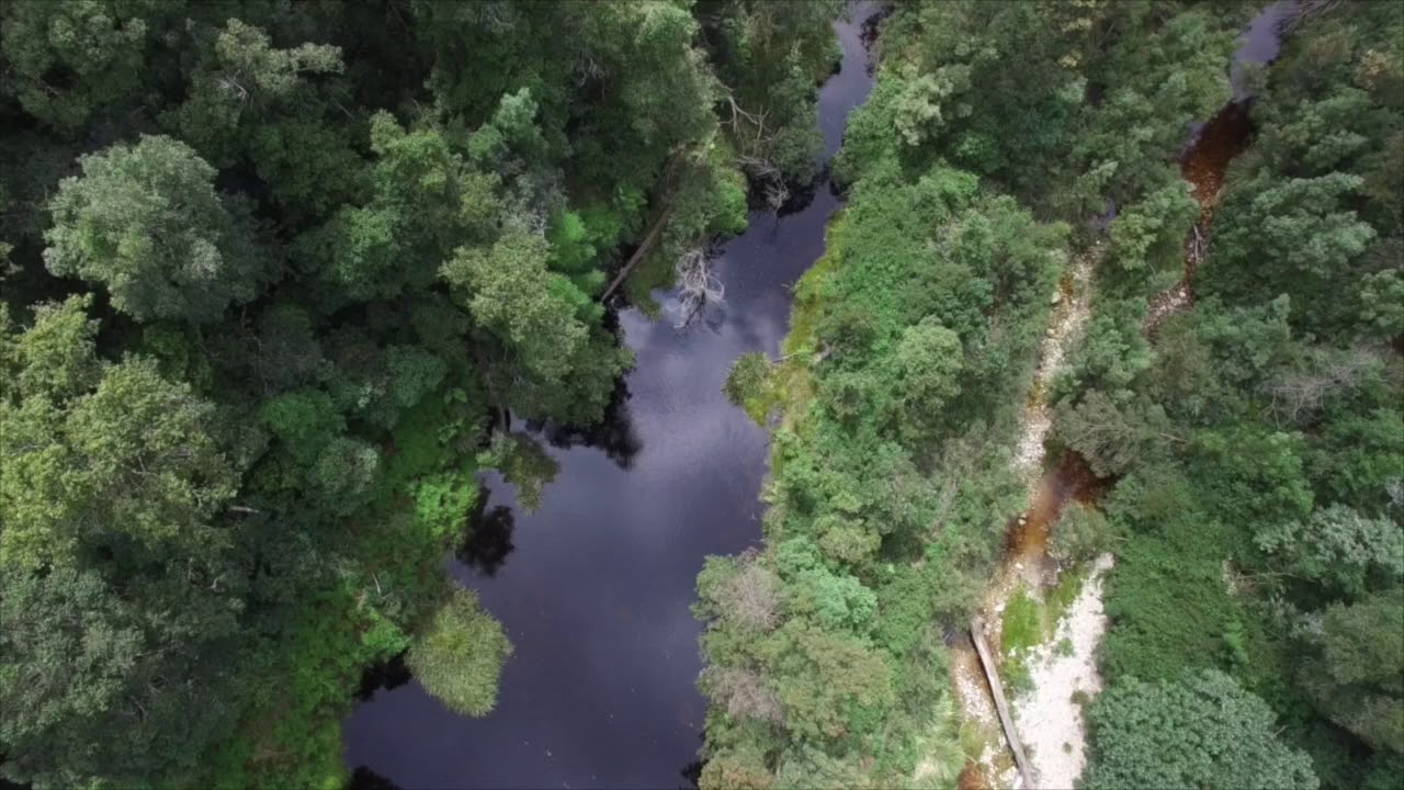 Blackwater Tubing Adventures - Garden Route - YouTube