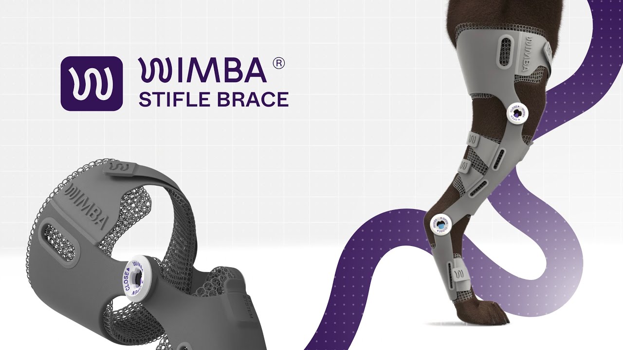 WIMBA Stifle Brace | Custom Canine Stifle (Knee) Orthosis - YouTube