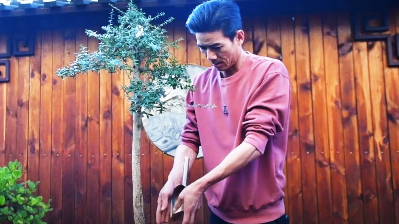 Why is ghost willow so expensive? - YouTube