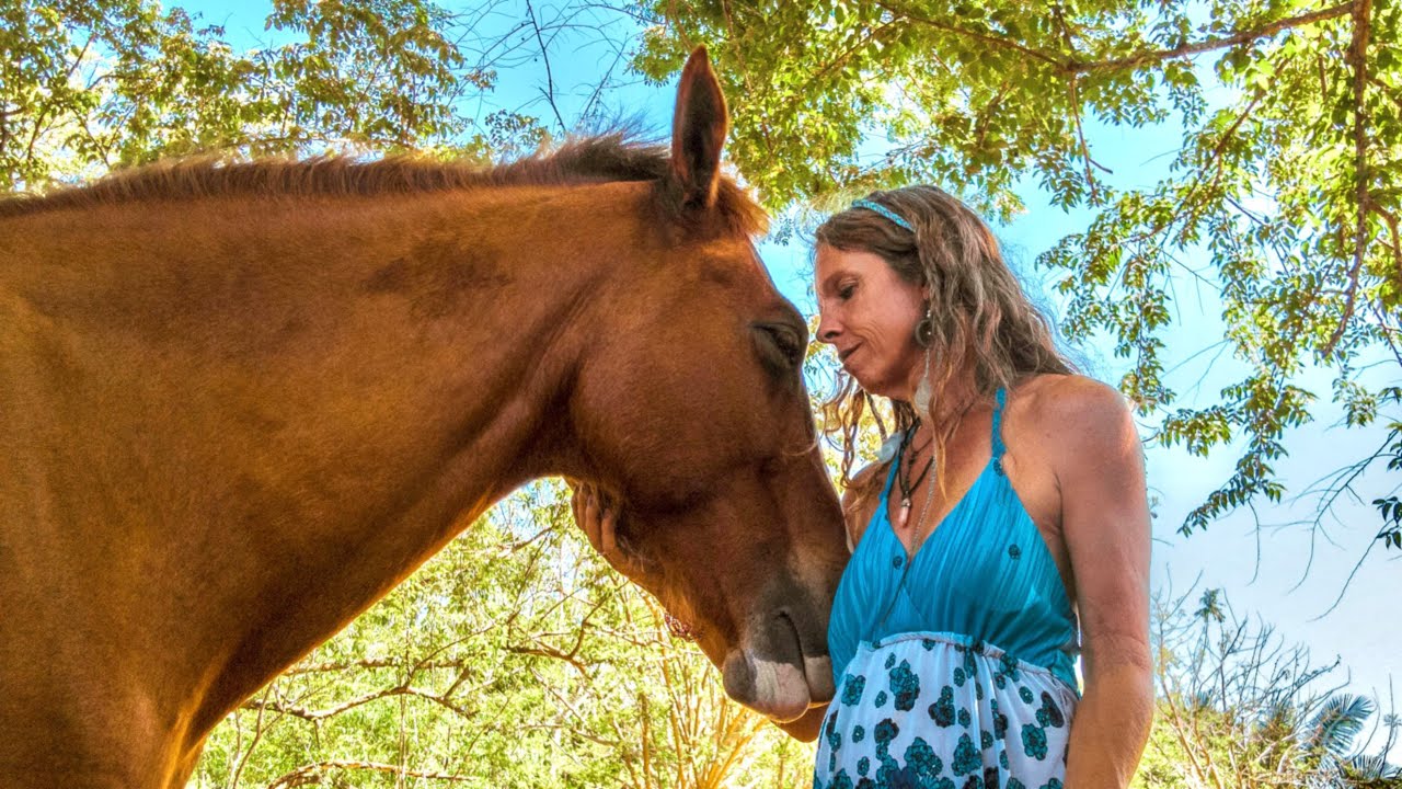 Wisdom | Meeting the Herd of Happy Horses at Horse Spirit Healing in ...