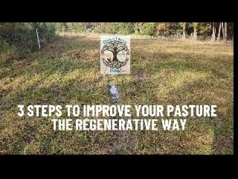 How to Transform Your Pasture with Regenerative Practices - YouTube