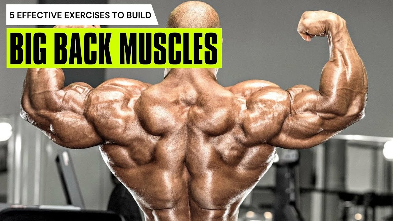 5 Most Effective Exercises to build Back | How to build BIG BACK ...