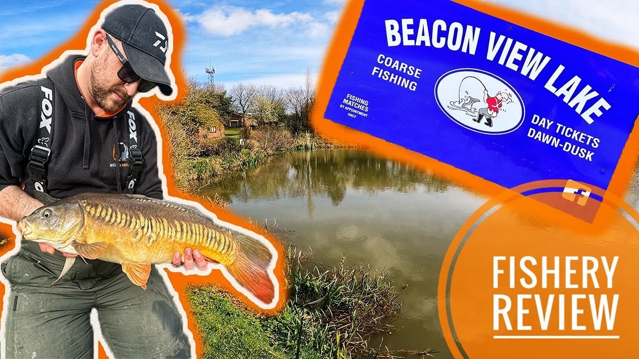 You Won't Believe What Happened When We Moved Peg! Beacon View Lake ...
