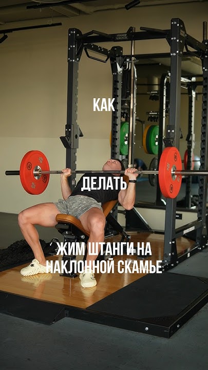 Жим штанги на наклонной скамье Youtube