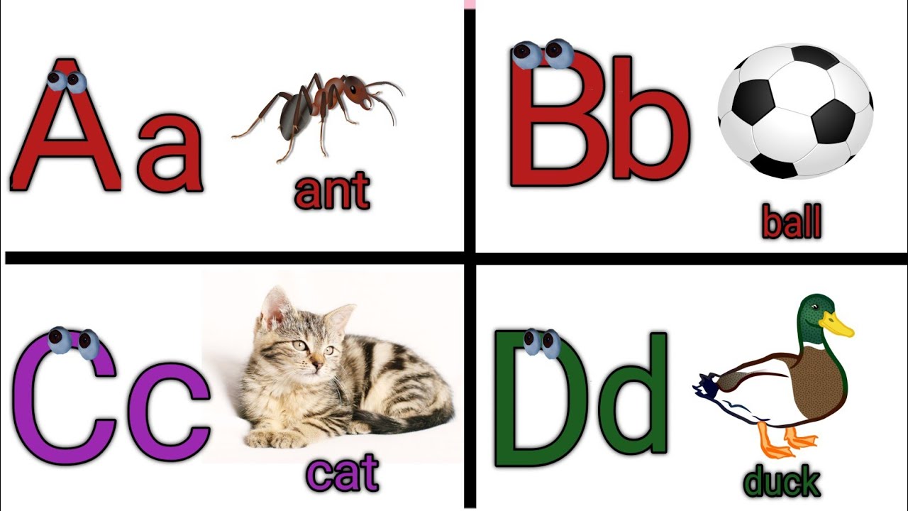 ABC phonics song| learn alphabet phonics with sounds| learn ABC song ...