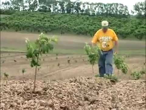 Career in Farming and Ranching - YouTube