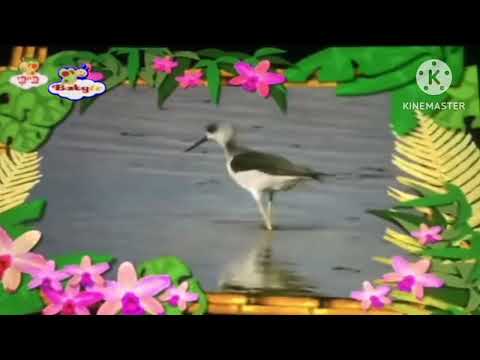 Baby TV The Amazing World Rivers Water 