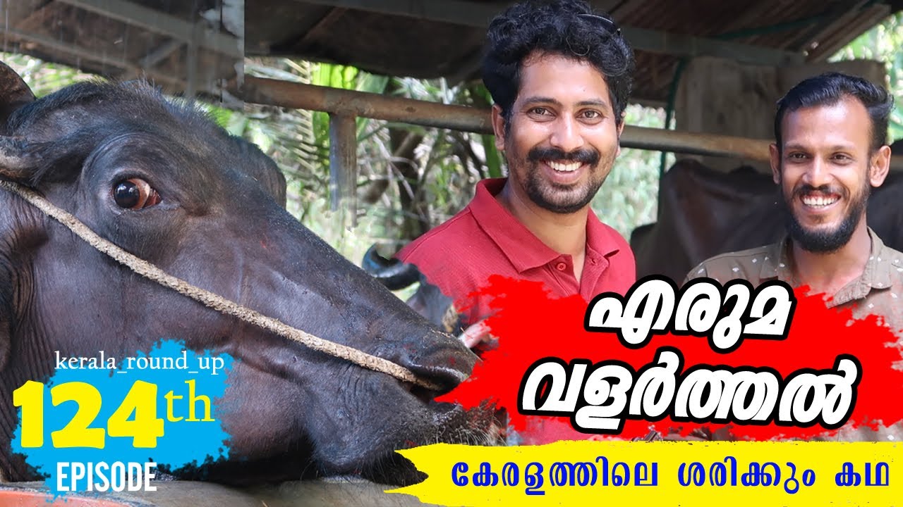 EP-124 She Buffalo farming | ERUMA VALARTHAL | 10 വർഷത്തെ കർഷകന്റെ ...