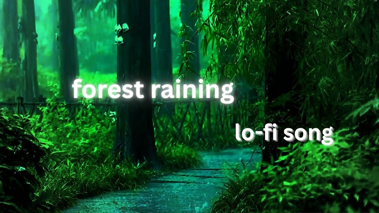 raining forest 4k HD | chilling lo-fi song - YouTube