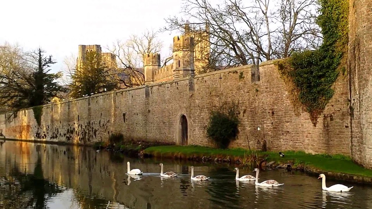 "Flotilla Of Swans" - Bishop's Palace, Wells, Somerset, UK - YouTube