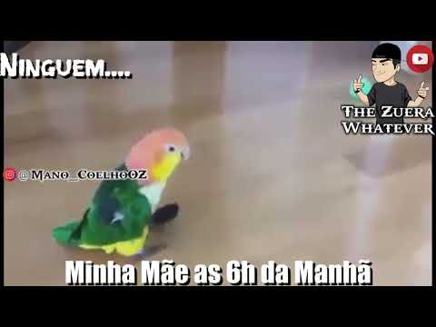 Minha Mãe as 6h da Manhã(Meme)